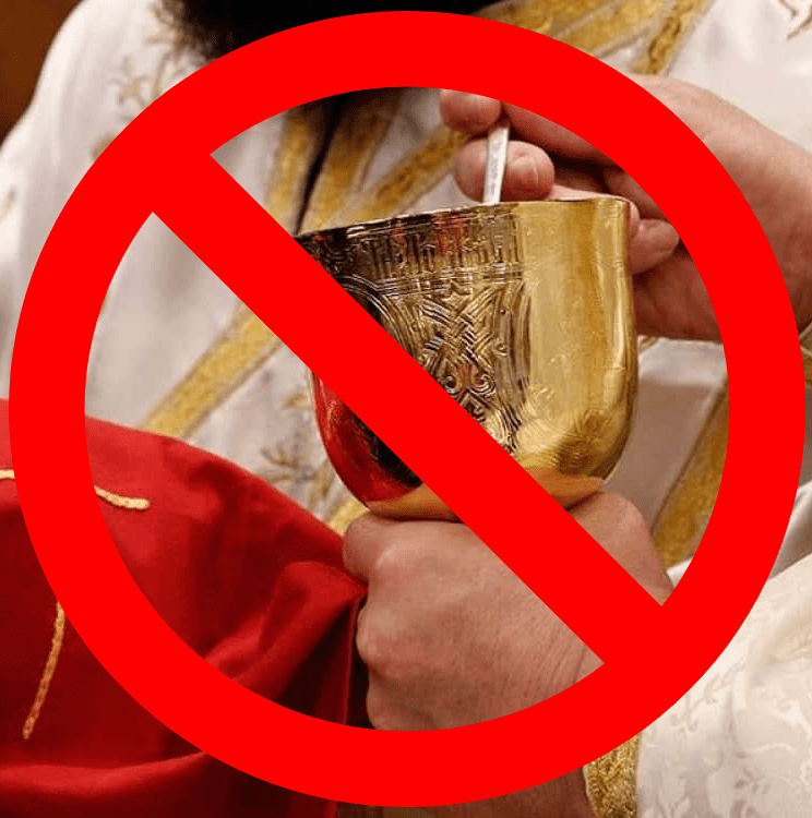 OCA SYNOD TO ANNOUNCE BLANKET EXCOMMUNICATION OF TRANSGENDER ORTHODOX ...